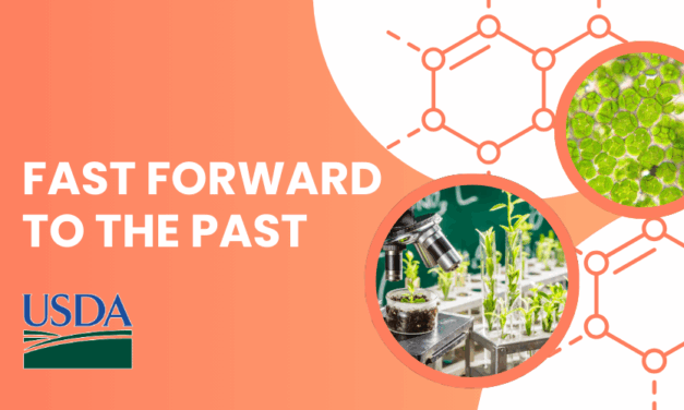 | The In Vitro Report