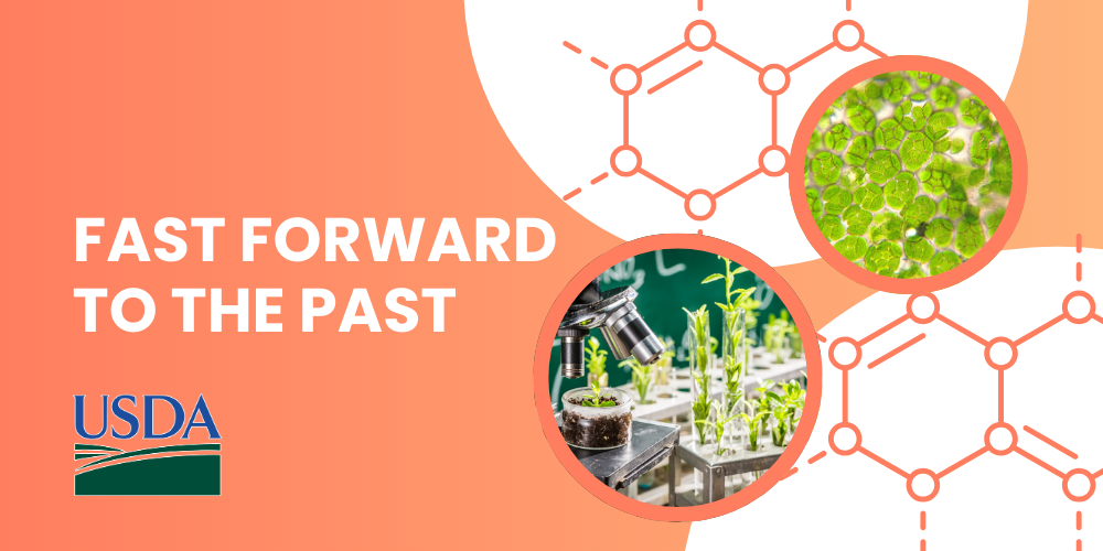 Fast Forward to the Past | The In Vitro Report